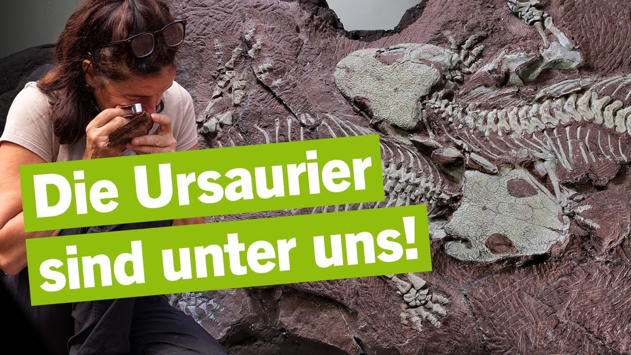 Fenster in die Urzeit: Wie wir am Bromacker für die Zukunft lernen ...