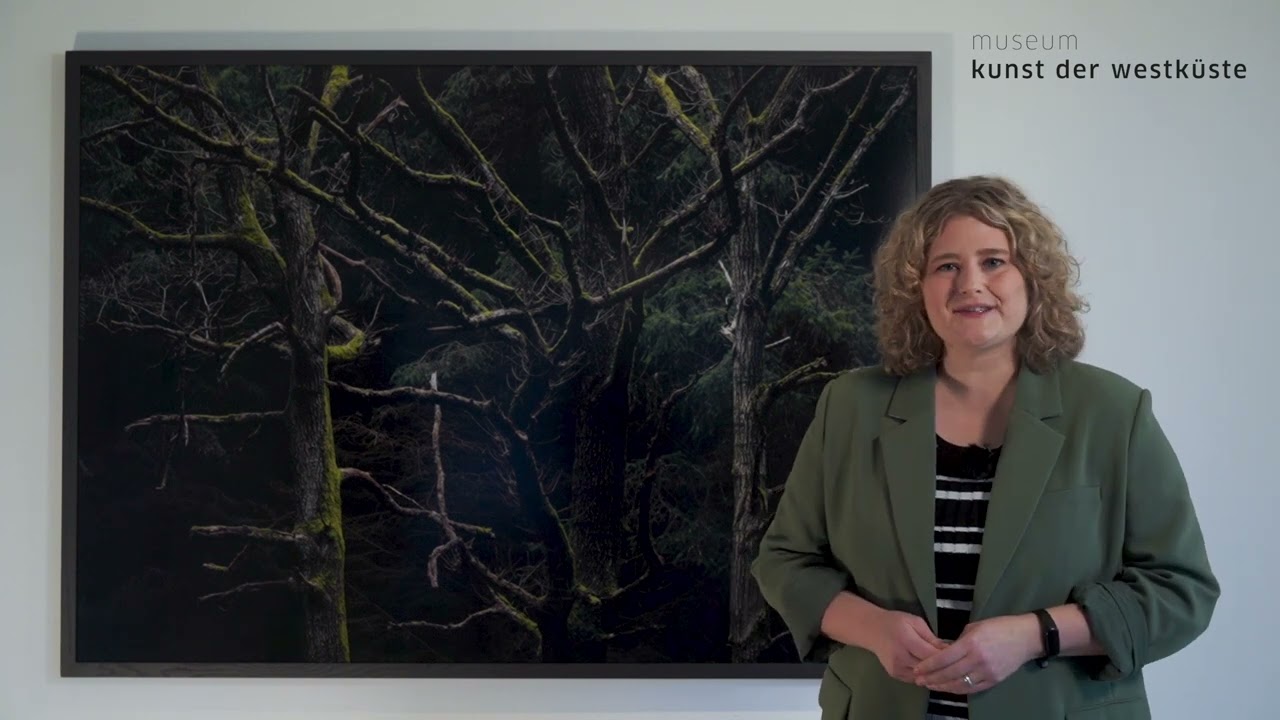 Per Bak Jensen — Humming Earth im Museum Kunst der Westküste (Serie ...