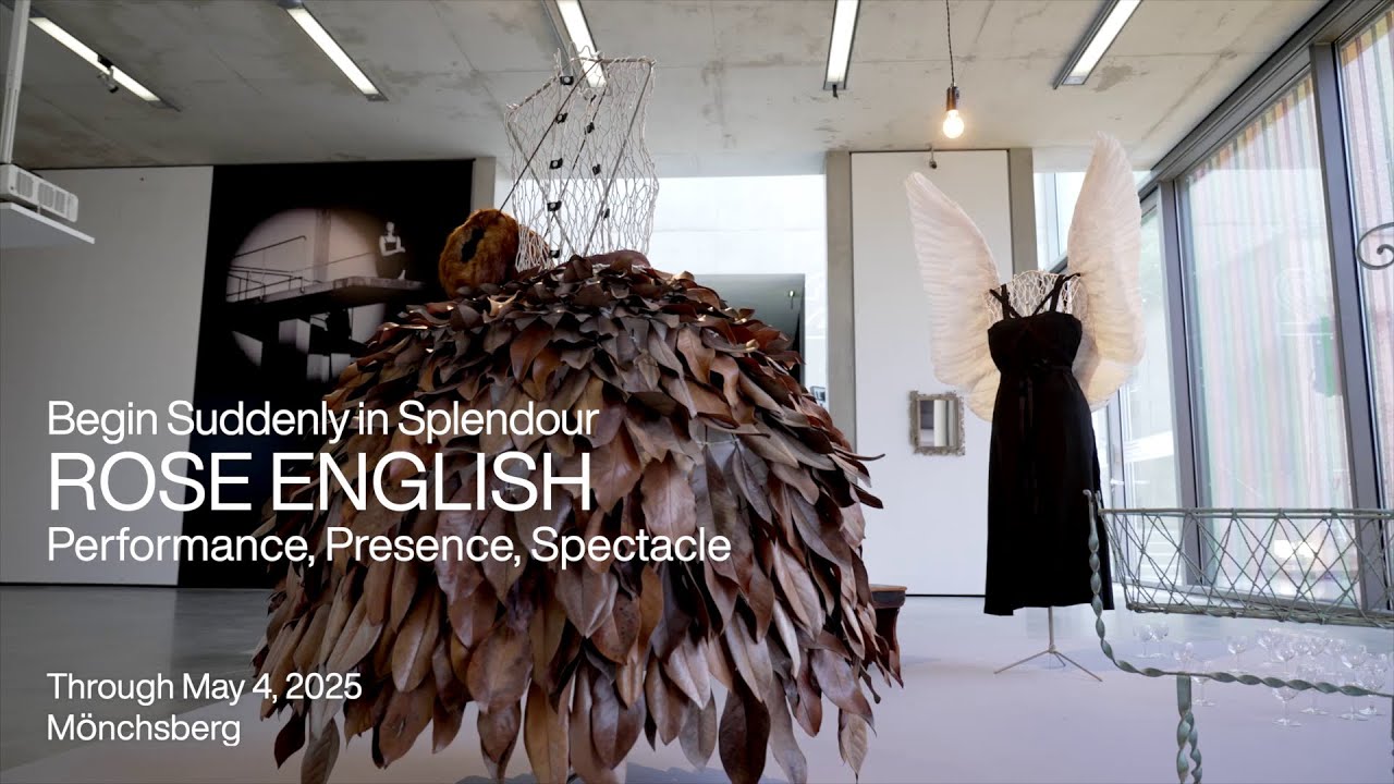 Begin Suddenly in Splendour | Plötzlich in Pracht beginnen: Rose ...