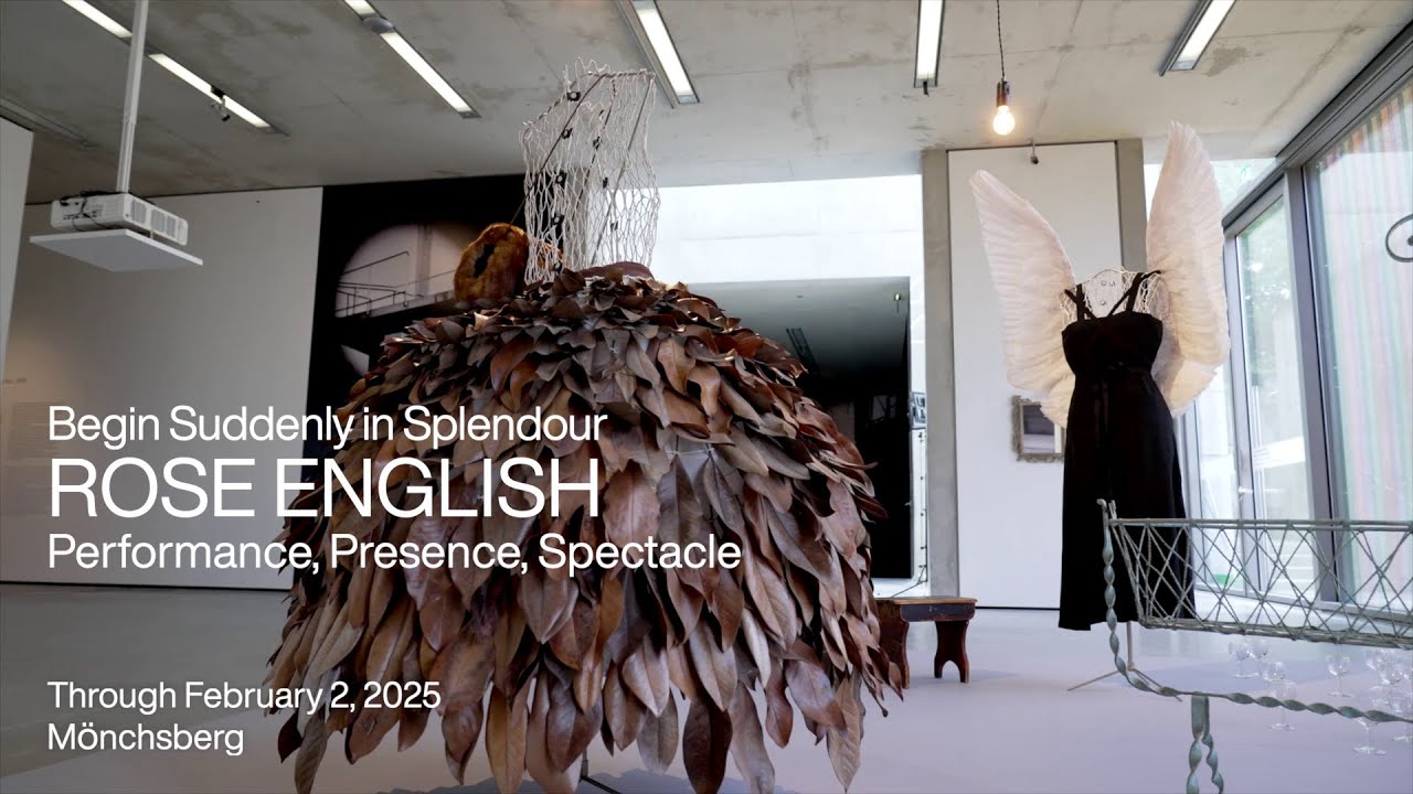 Begin Suddenly in Splendour | Plötzlich in Pracht beginnen: Rose ...